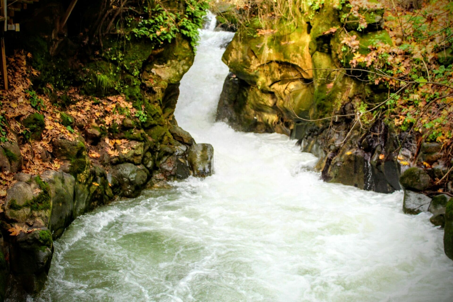 Banias: The Complete Insider's Guide - Hiking the Holyland