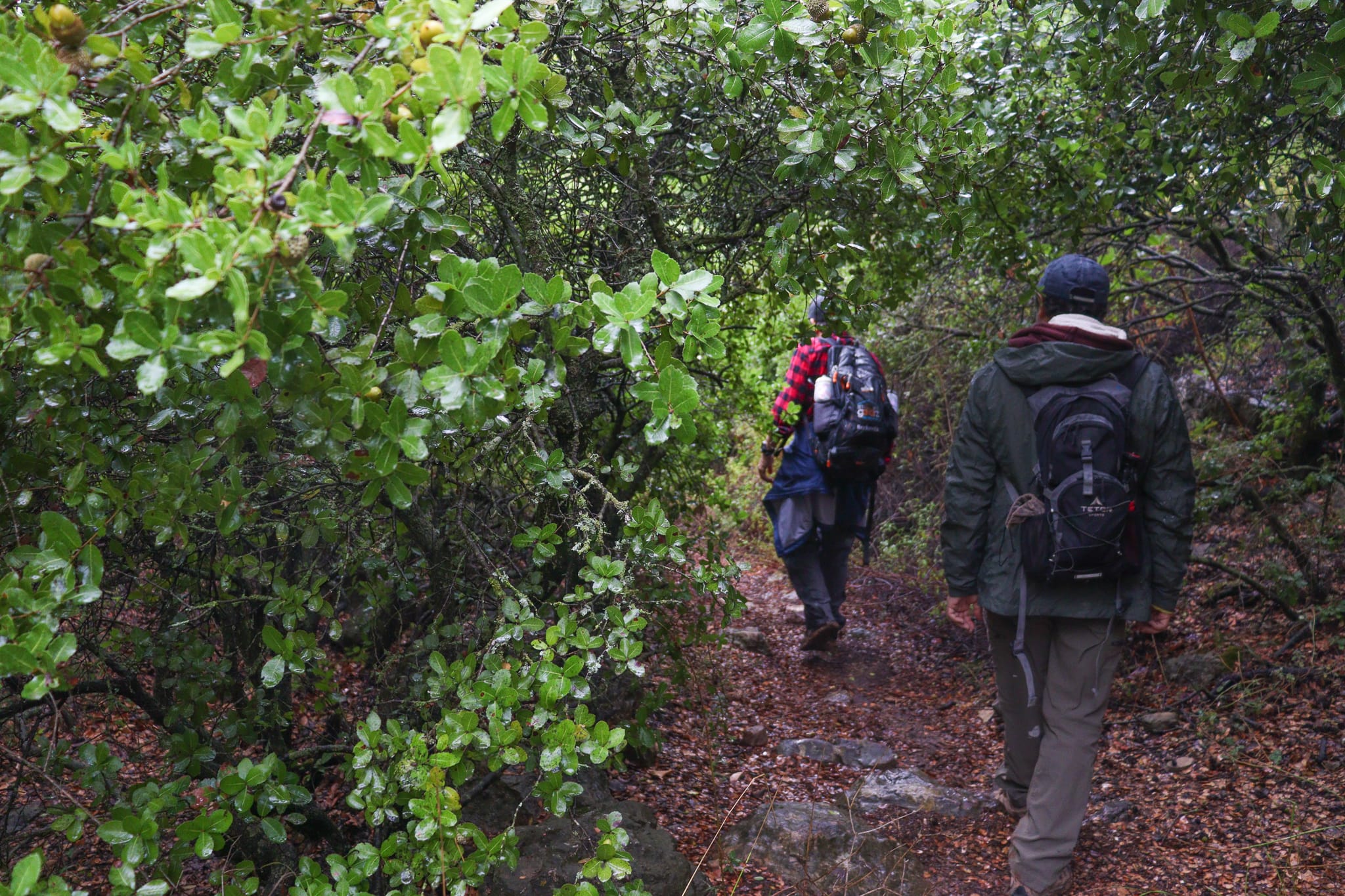 Nahal Dolev One-Way Trail for Families - Hiking the Holyland