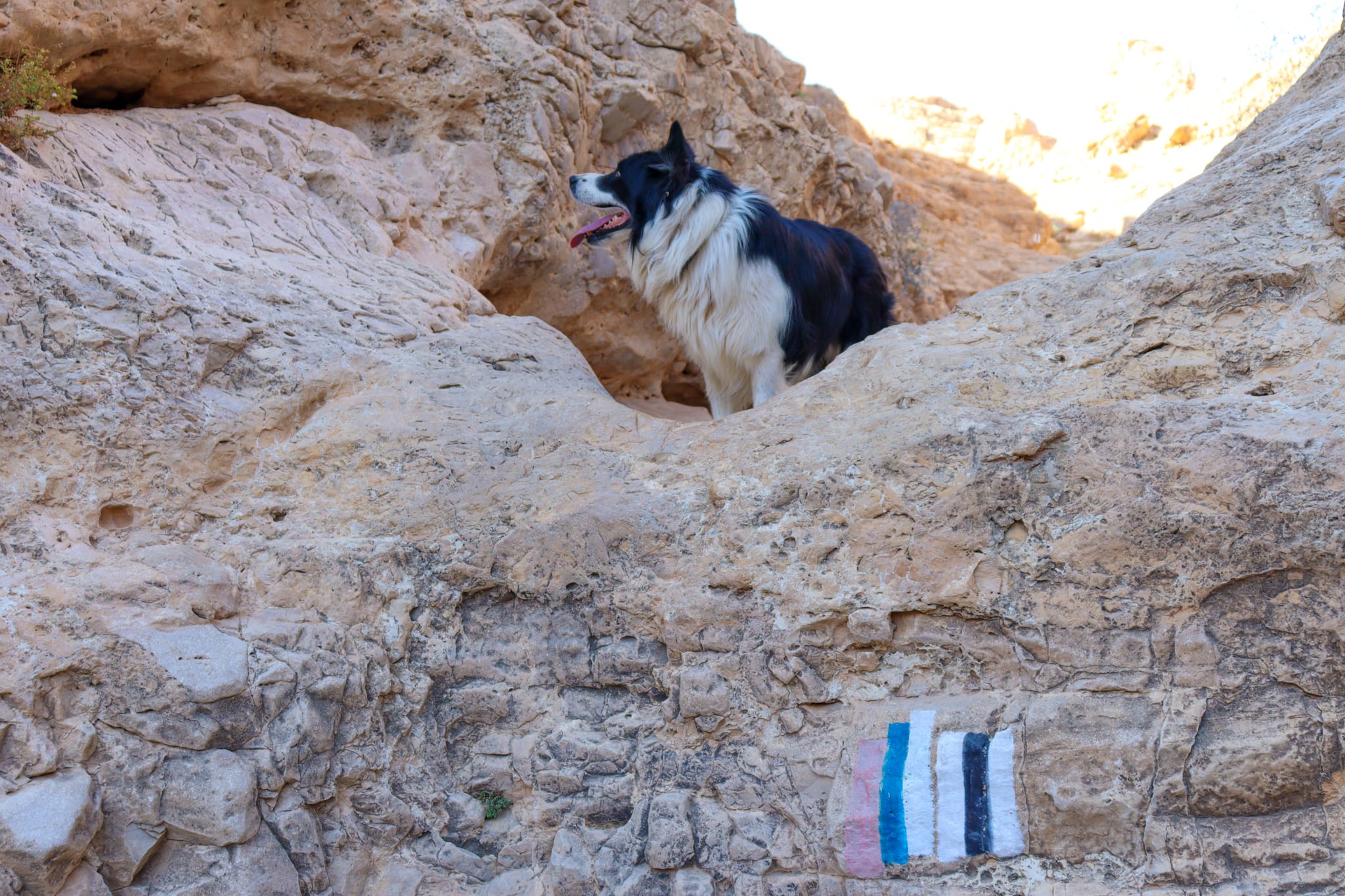 Hiking Basics Part Six: Trail Markers - Hiking the Holyland