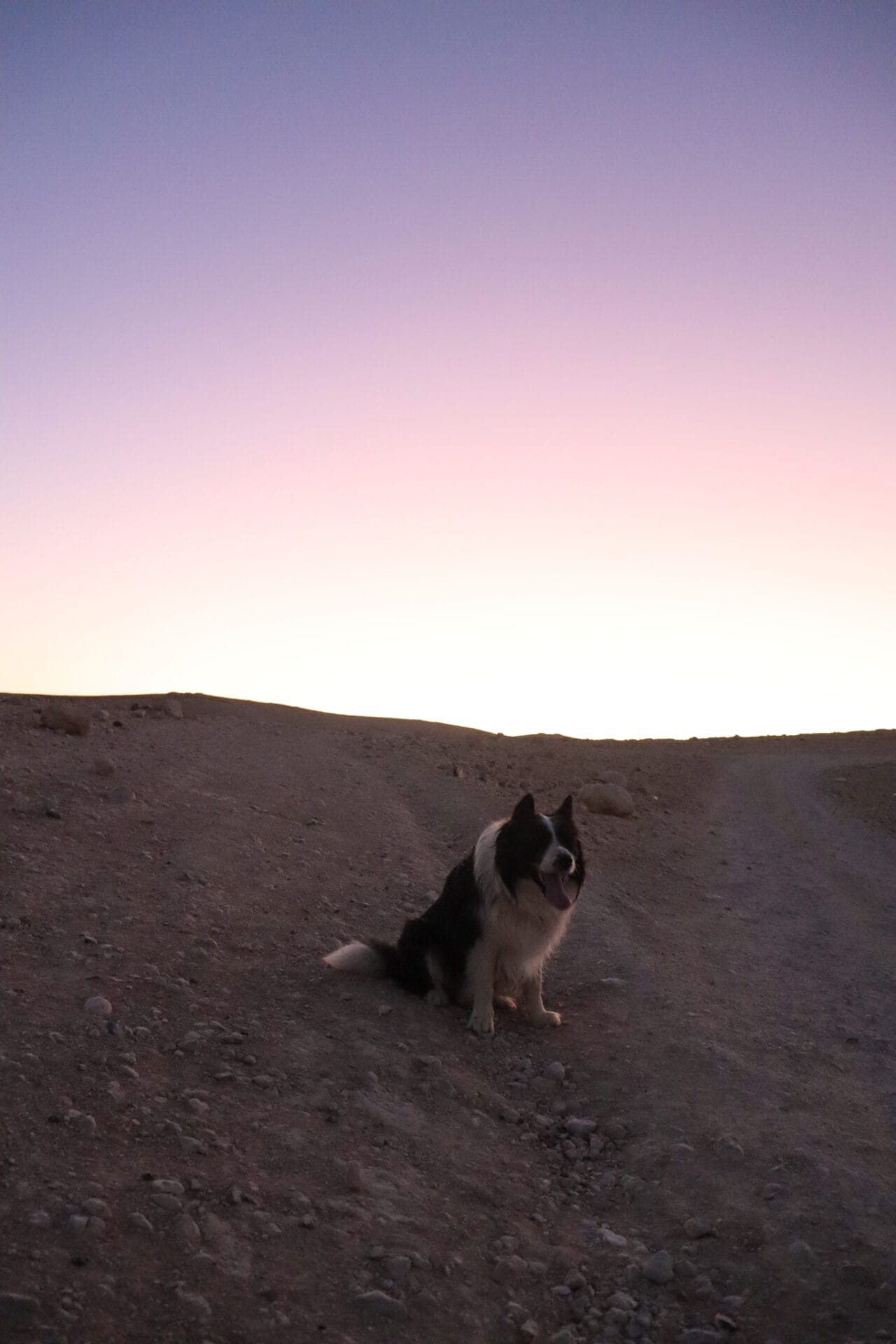 Mount Montar and Mar Saba - in the Footsteps of Seir L'azazel - Hiking ...
