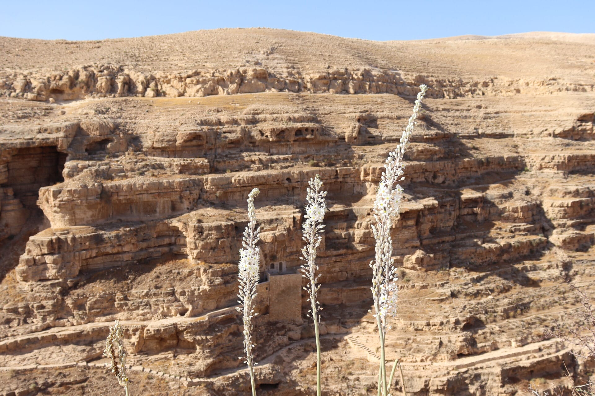 Mount Montar and Mar Saba - in the Footsteps of Seir L'azazel - Hiking ...
