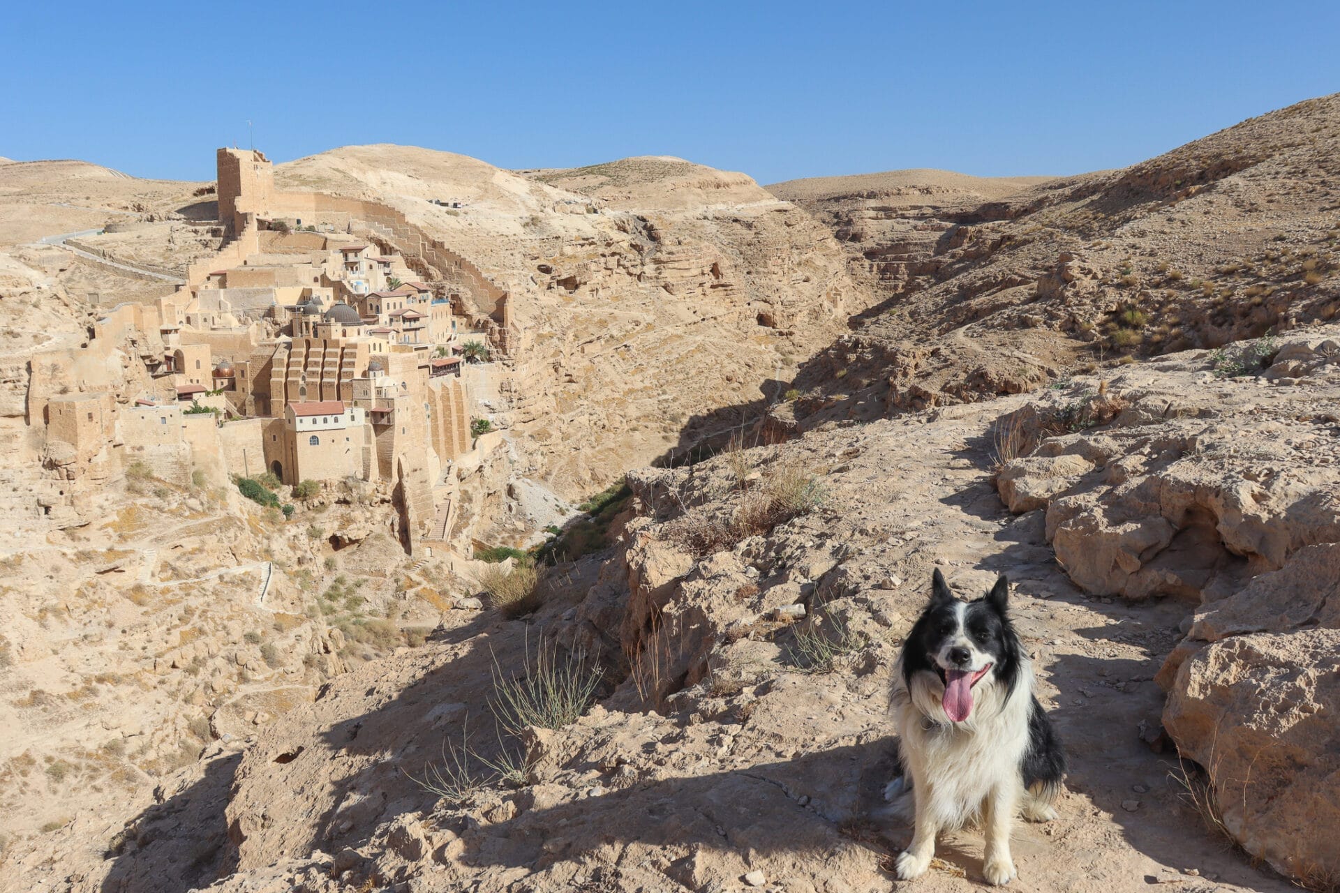 Mount Montar and Mar Saba - in the Footsteps of Seir L'azazel - Hiking ...