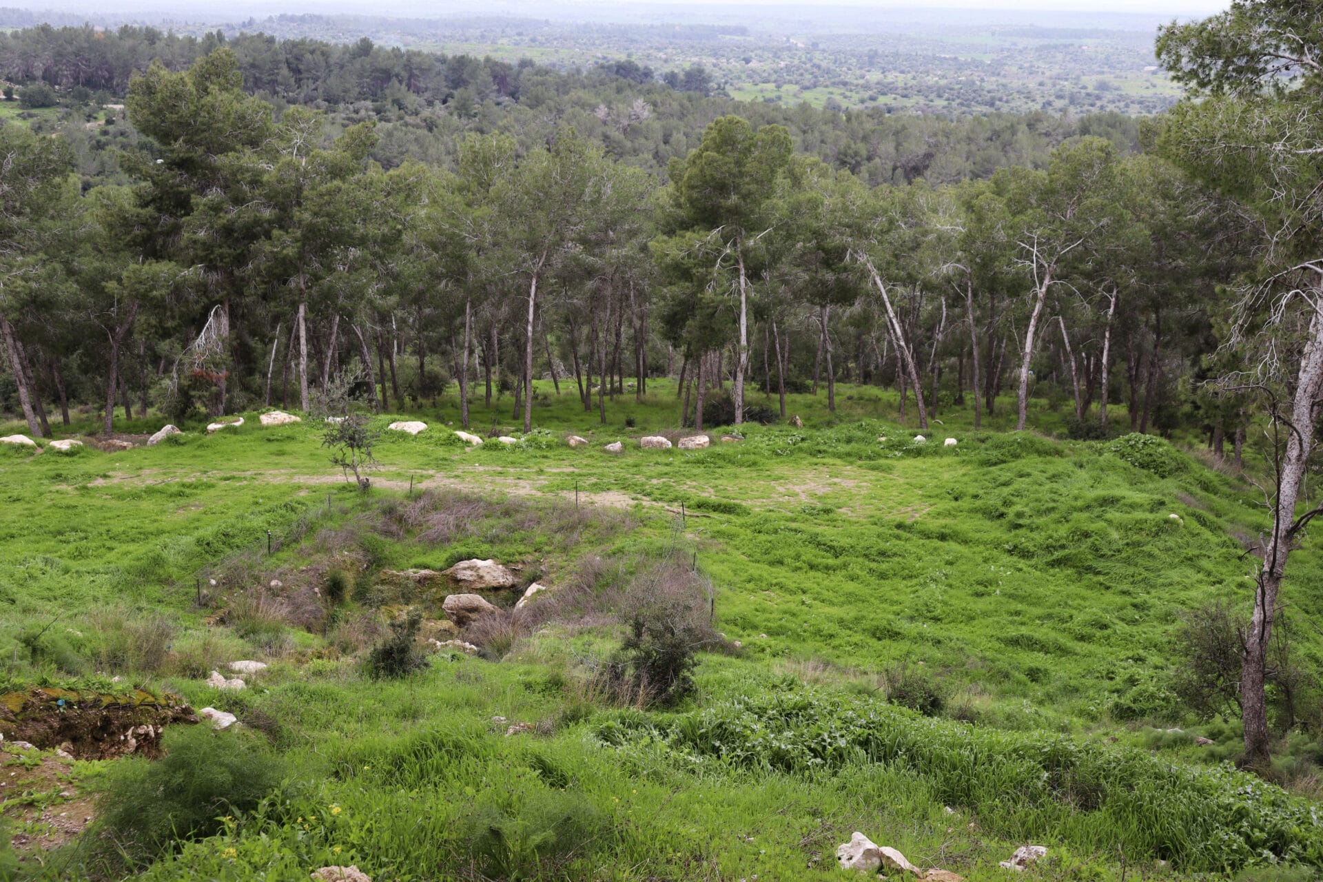Tel Azeka and the Forests of Park Britannia - Hiking the Holyland
